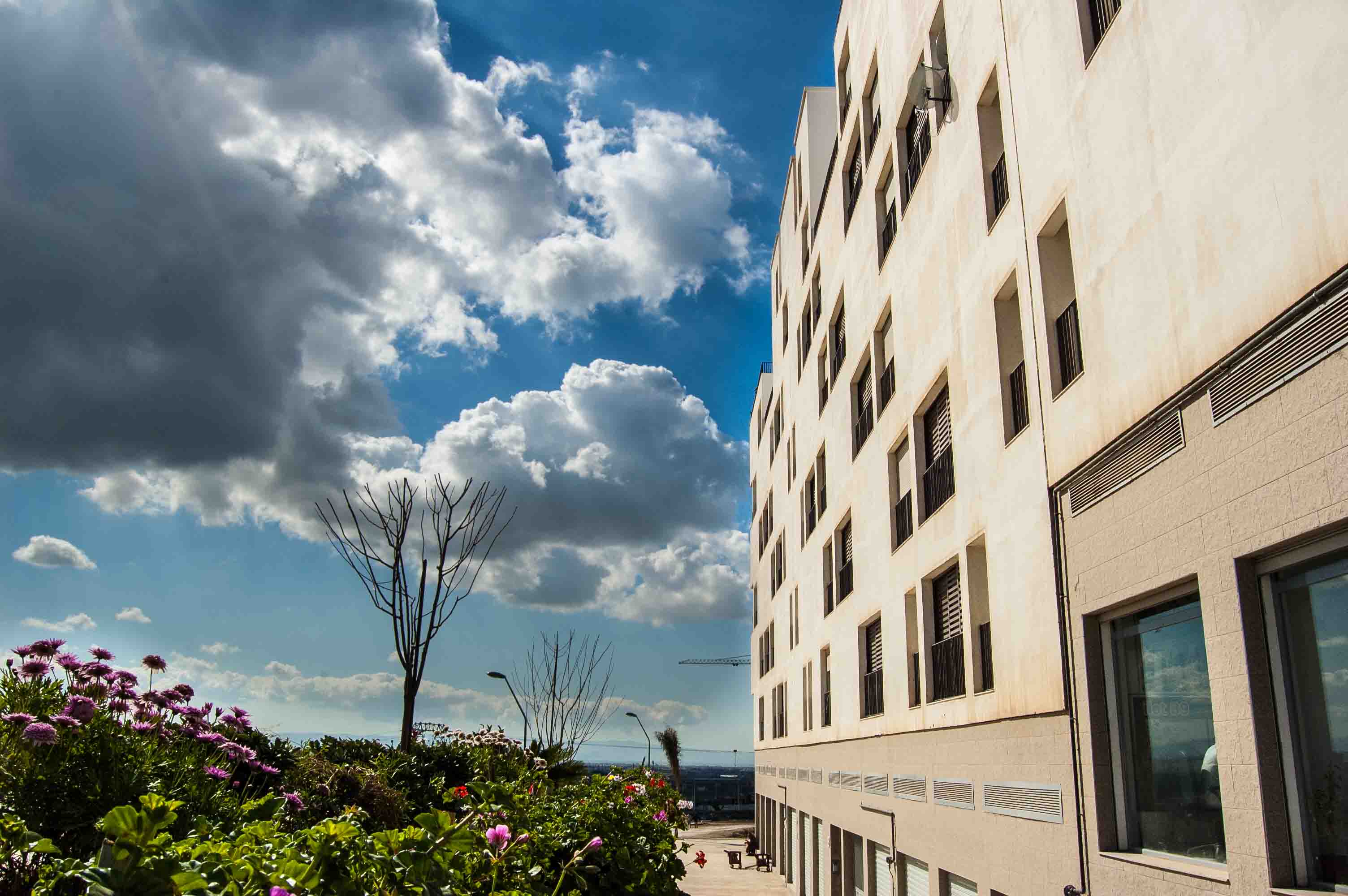 Achievements -The HASNAOUI Group of Companies